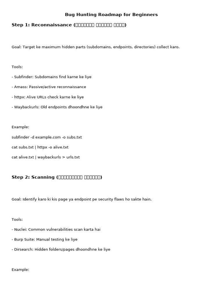 Bug Hunting Roadmap | PDF