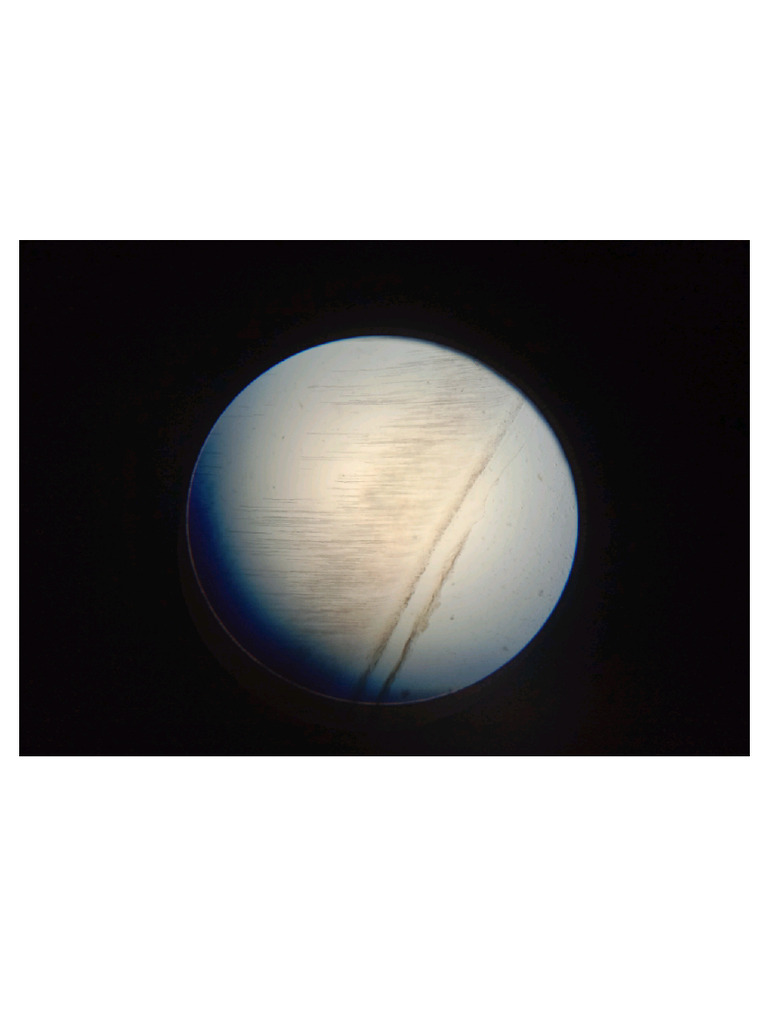 DADH Real Slides | PDF