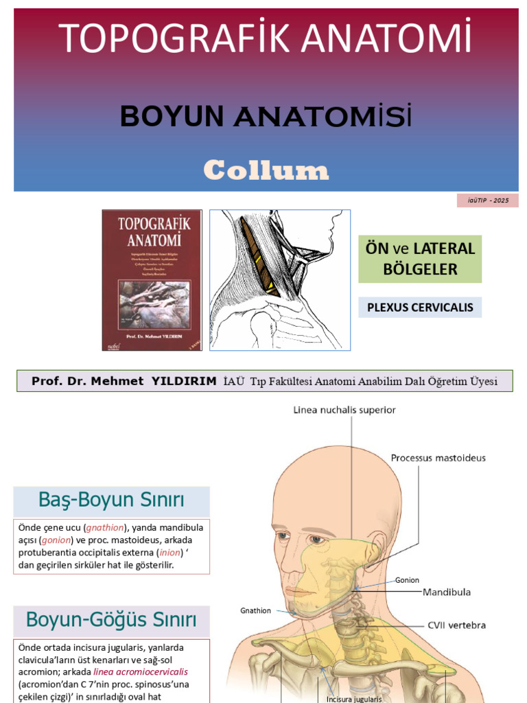 REGIO COLLİ - v3 - Prof DR M Yıldırım - 2025 | PDF