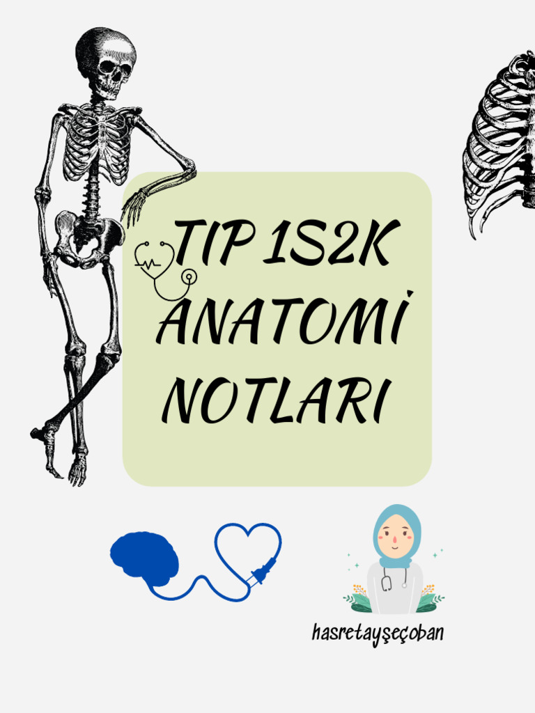 Anatomi 1 | PDF
