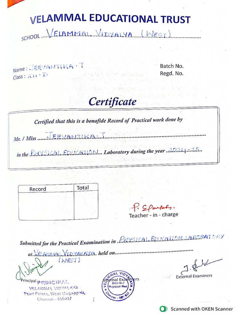 Physical Education Record | PDF