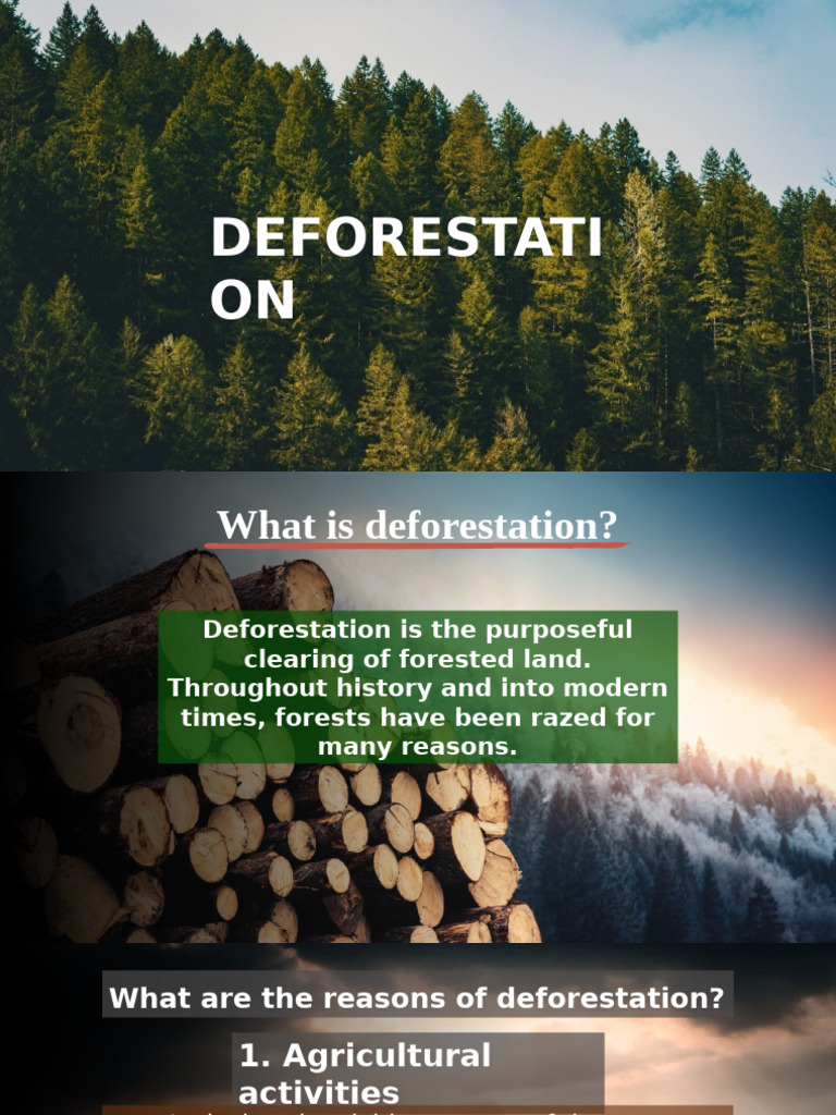 Deforestation | PDF