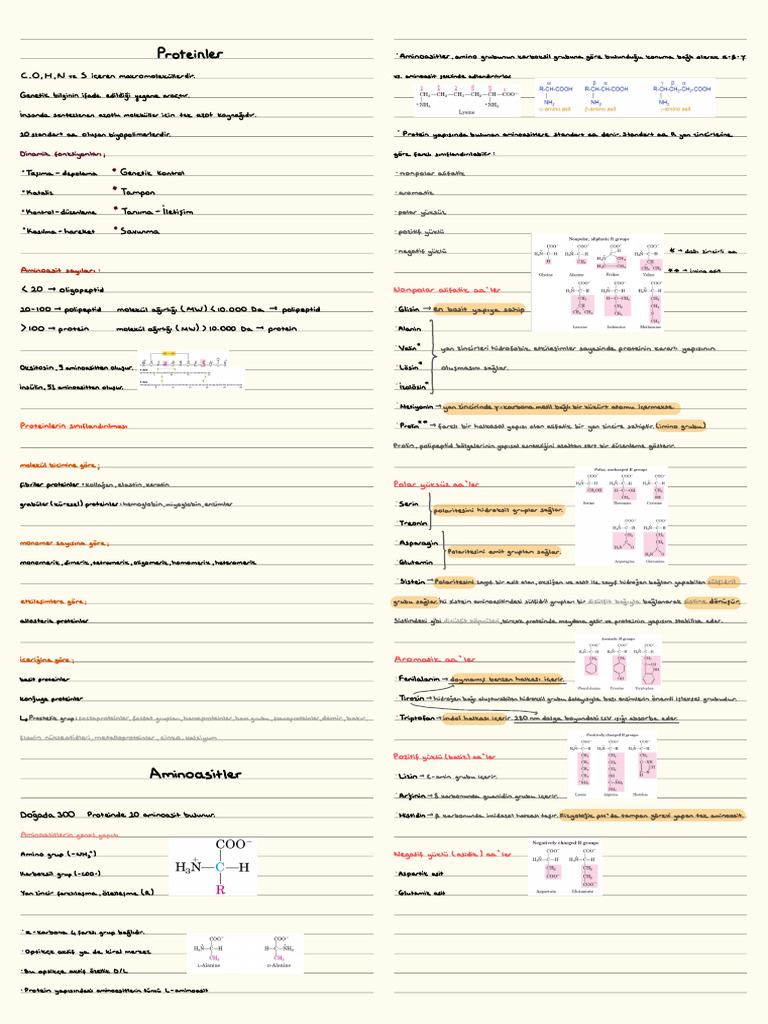 Biyokimya 2. Kurul ? | PDF