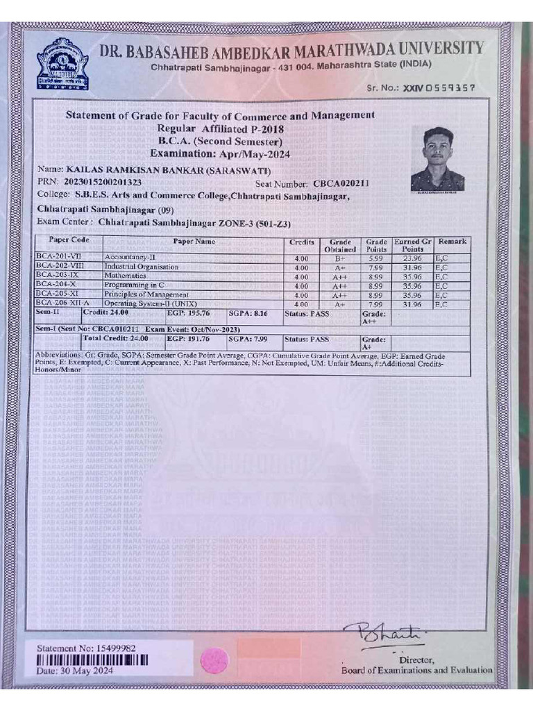 First Year Marksheet | PDF
