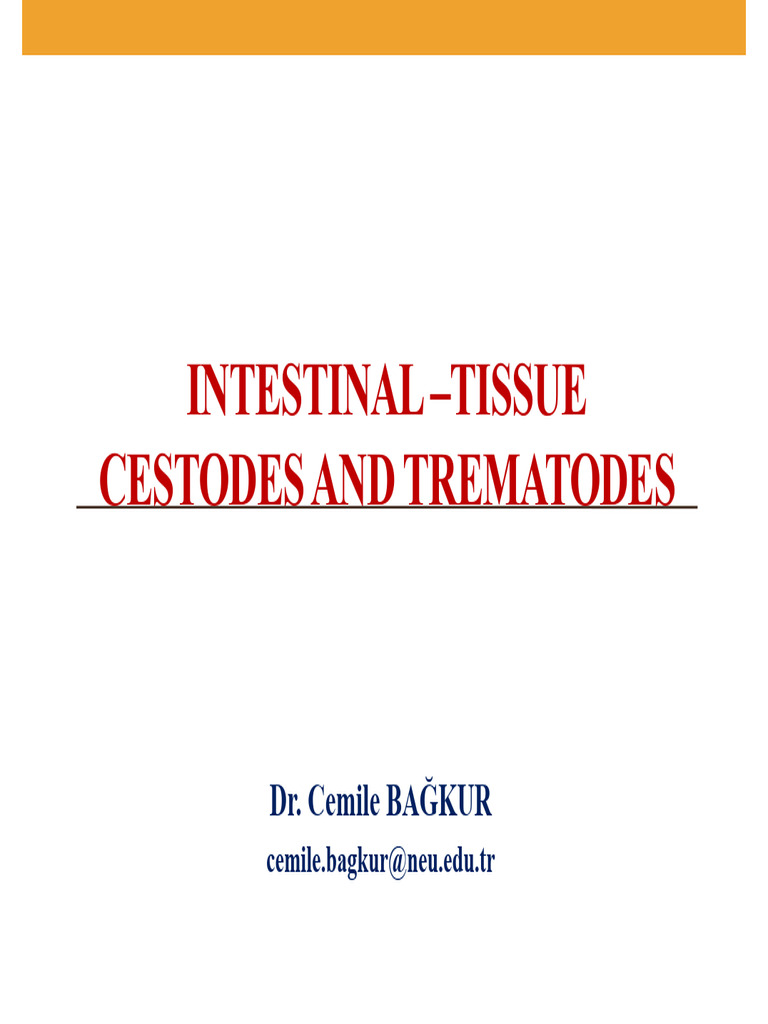 Intestinal - Tissue Cestodes and Trematodes-6 | PDF | Medical ...