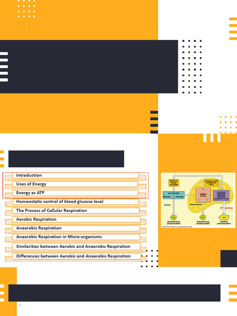 Cellular Respiration - Lesson 1 | PDF | Cellular Respiration ...