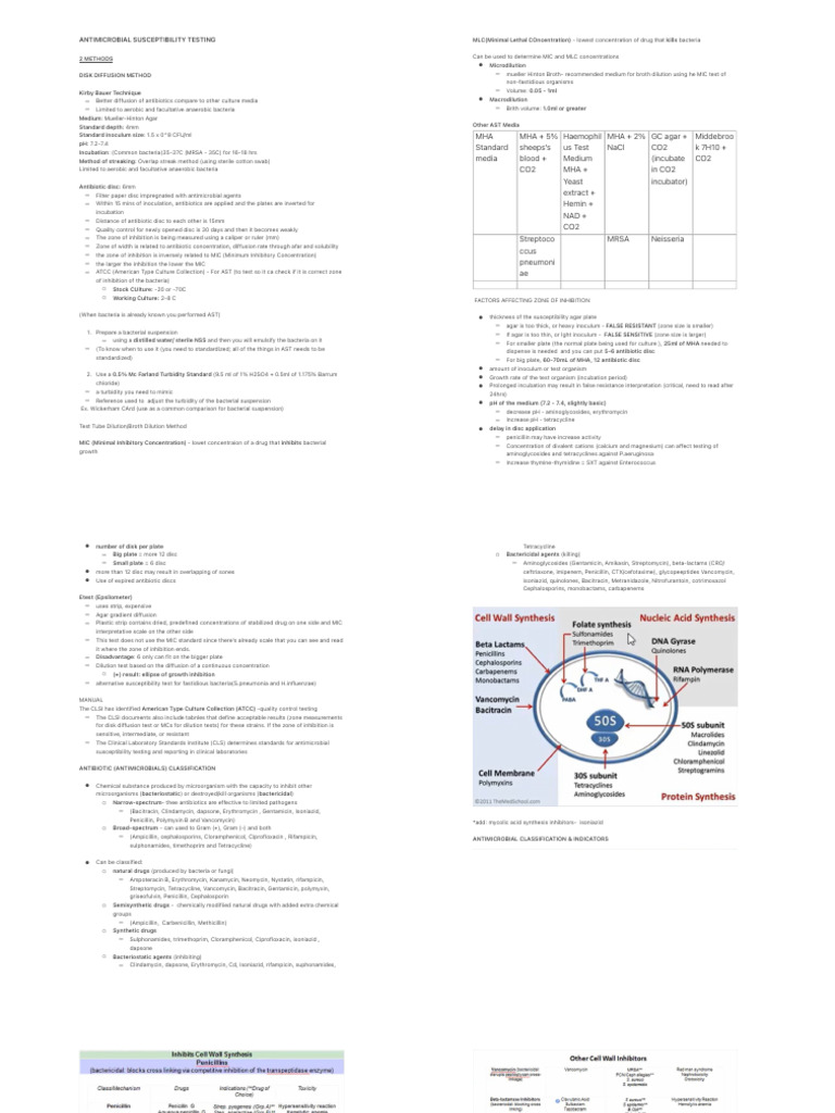Antimicrobial Susceptibility Testing | PDF | Beta Lactamase | Antibiotics