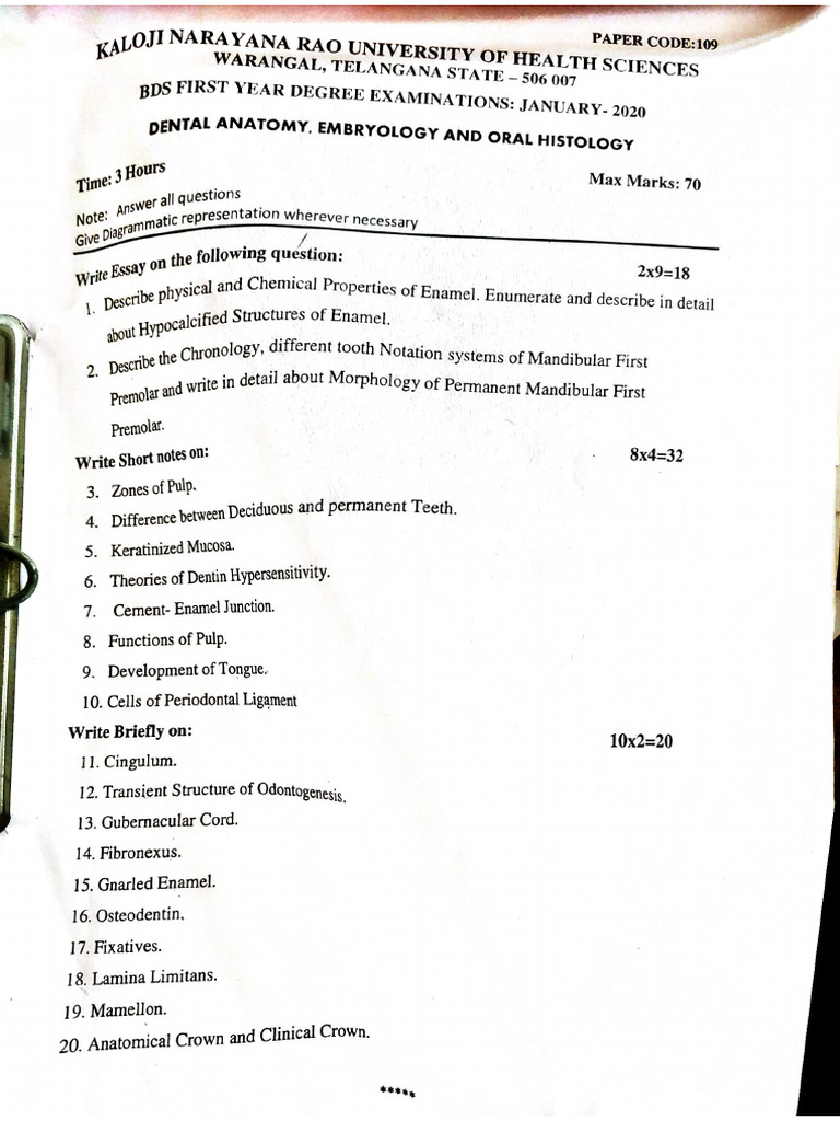 Dental Anatomy Prev | PDF