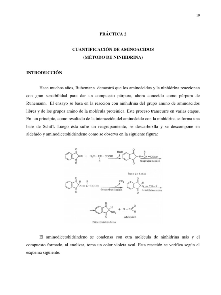 Practica 2 Ninhidrina | PDF | Reacciones químicas | Agua
