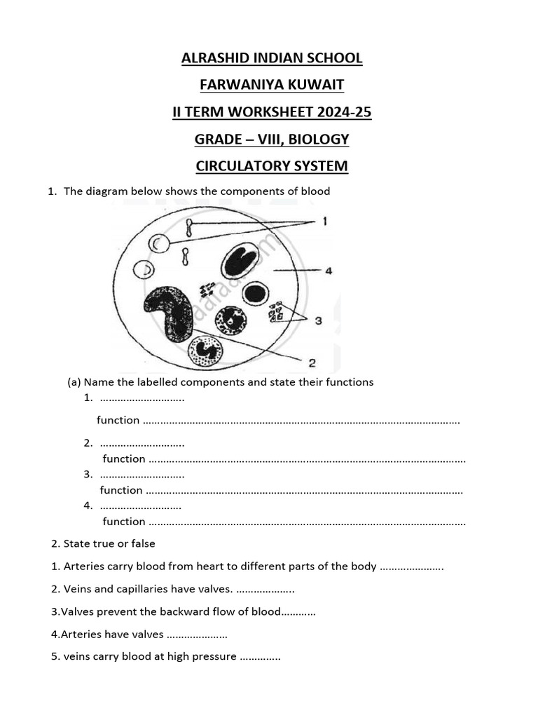 Grade 8 Bio - Worksheet Circulatory System | PDF