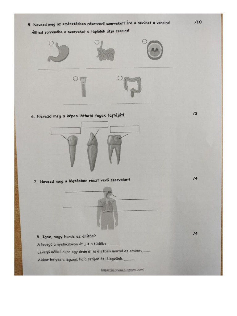 Környezet 4.o Emberi Test 2 | PDF