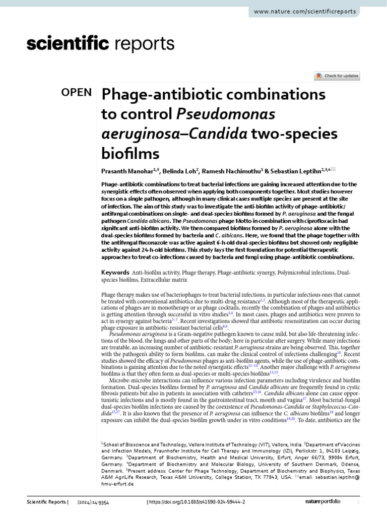 Phage-Antibiotic Combinations To Control Pseudomonas Aeruginosa-Candida ...