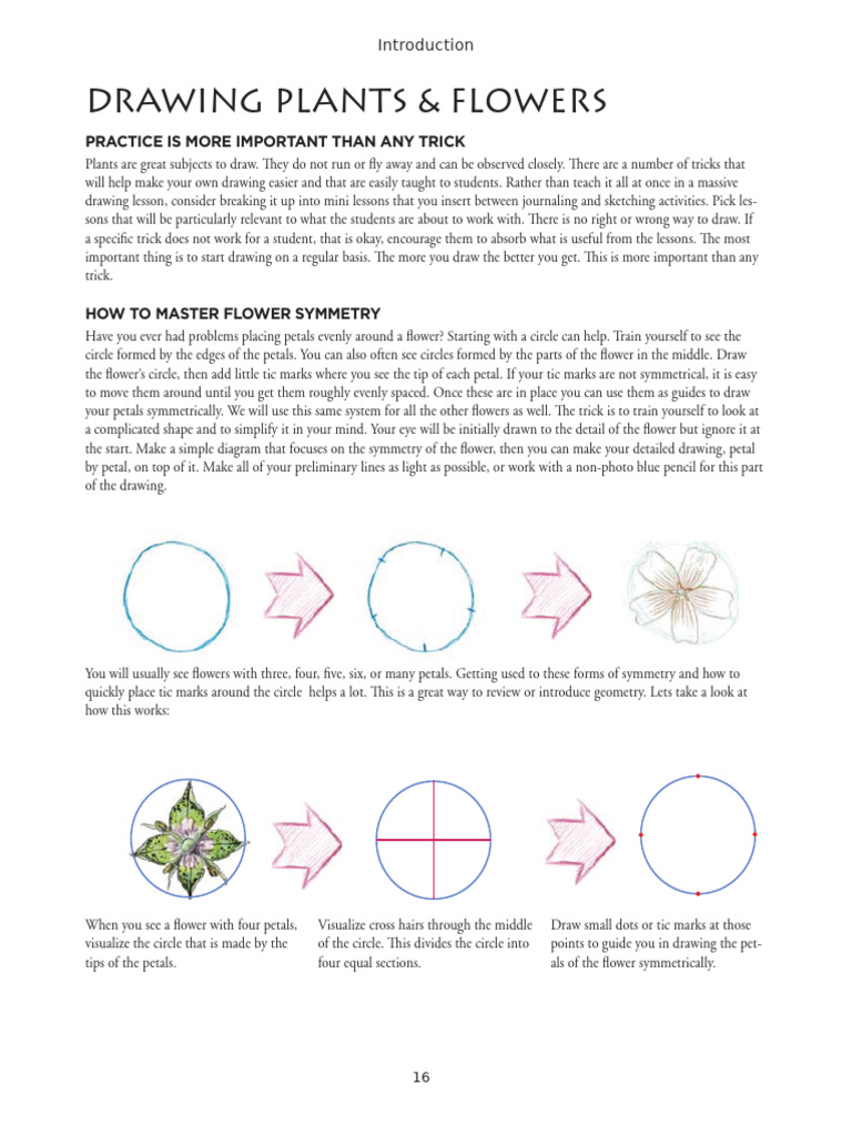 57 VVV | PDF | Flowers | Leaf