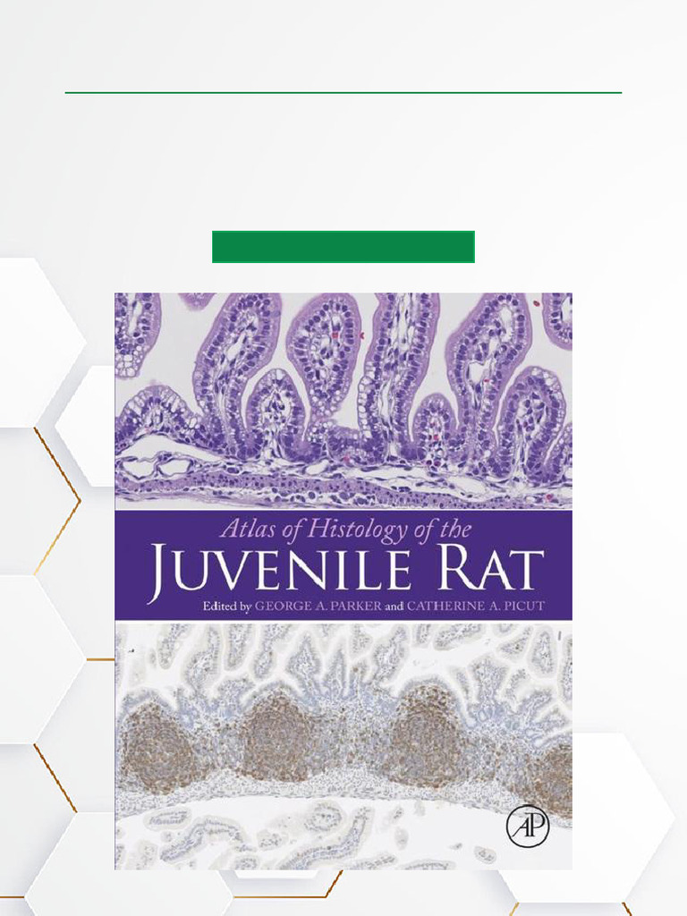 Juvenile Rat Histology Atlas Download | PDF | Epidermis | Skin