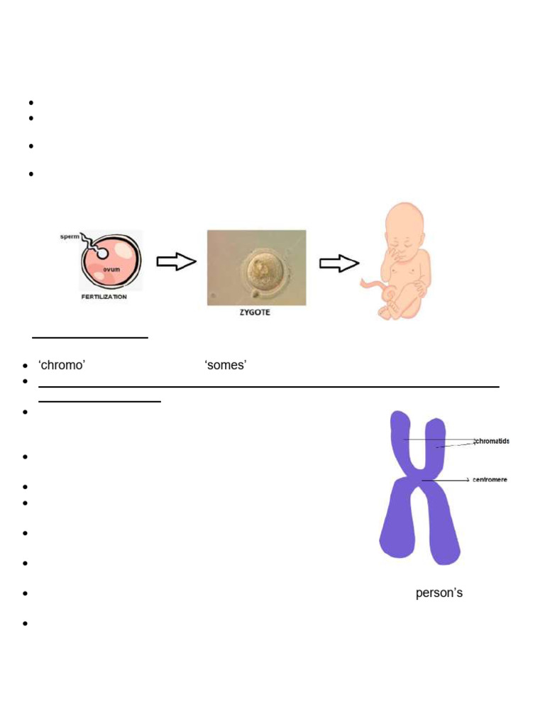 inheritance_full_notes | PDF | Meiosis | Dominance (Genetics)