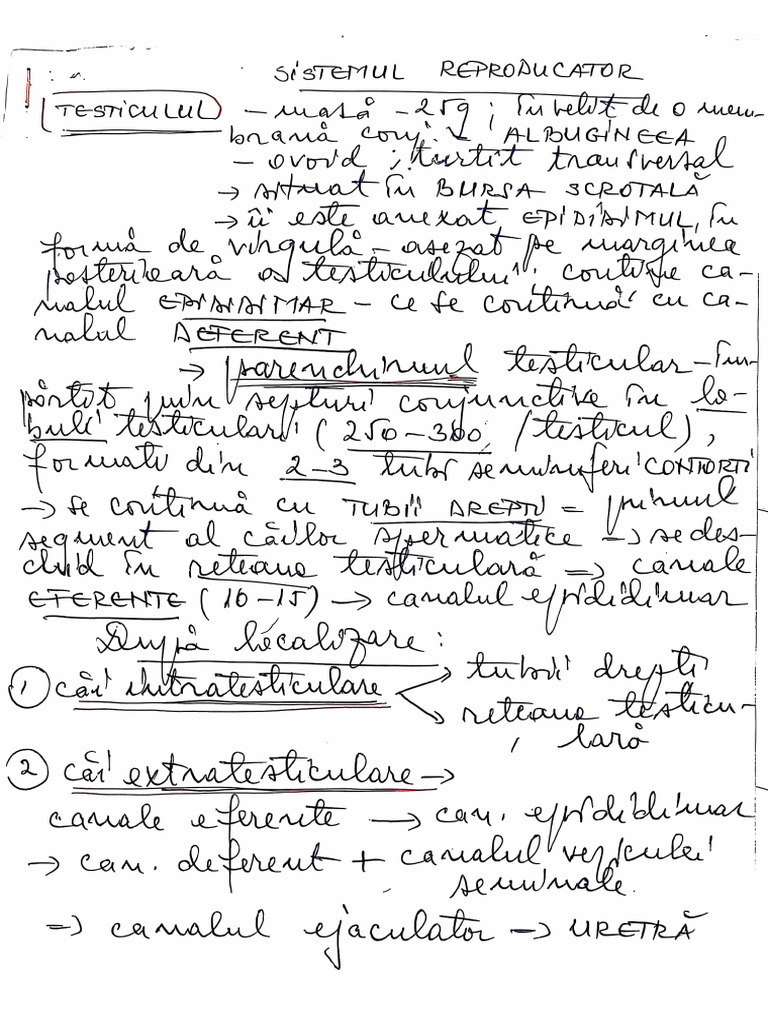Sistemul Reproducator 2025 | PDF