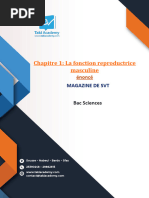 Prise en charge des NVPO postopératoires | PDF | Anesthésie | Risque
