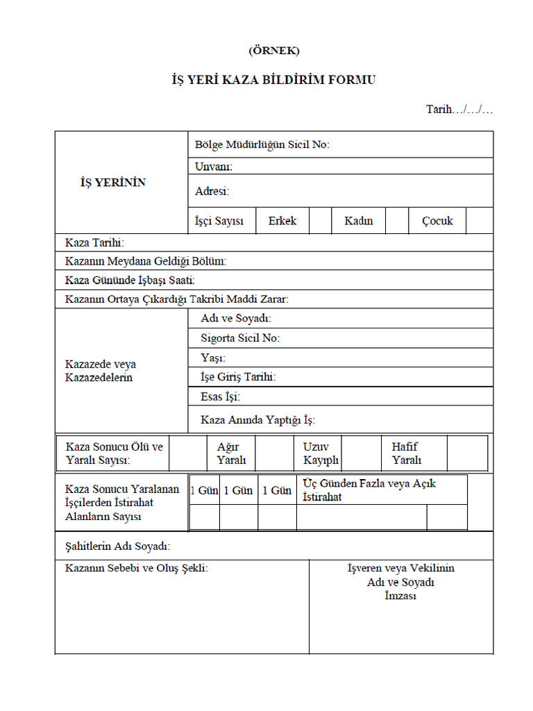 Iyerikazabildirimformu - Rnek | PDF