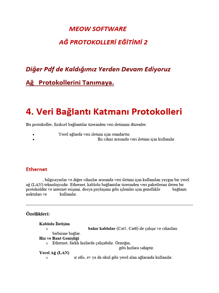 Meow Software Ağ Protokolleri 2 | PDF