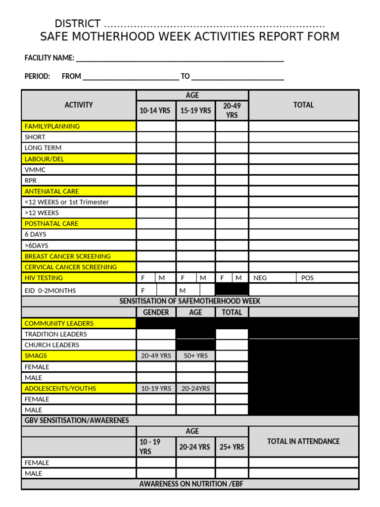 Safe Mother Hood Reporting Tool | PDF