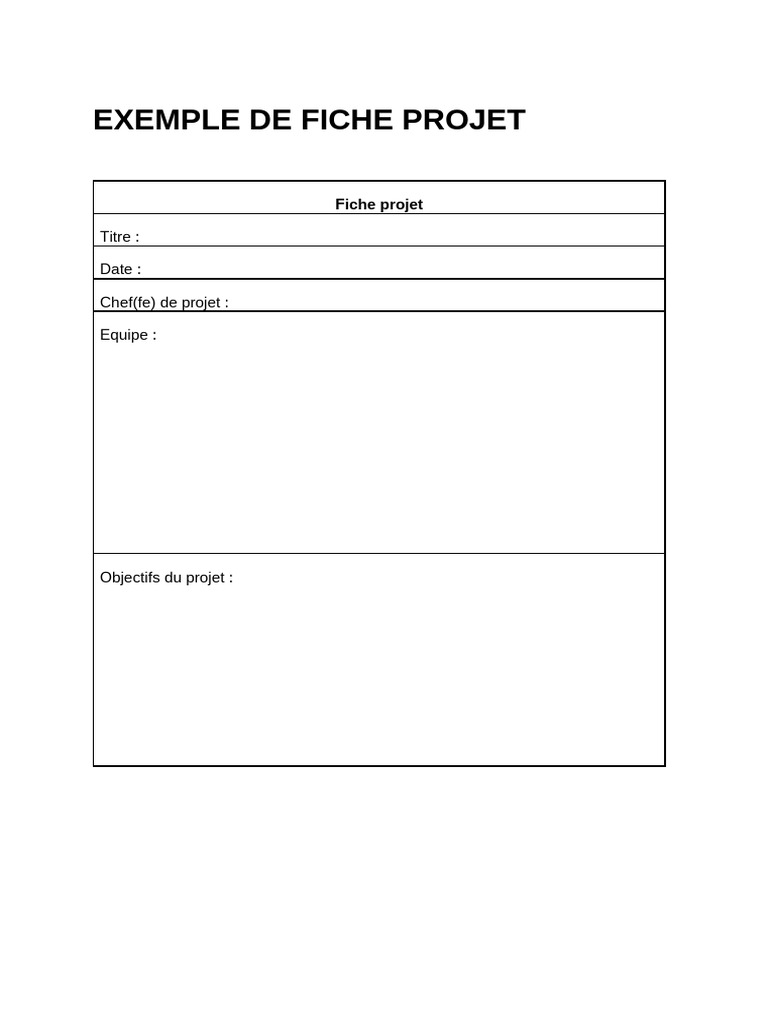 Exemple de Fiche Projet | PDF