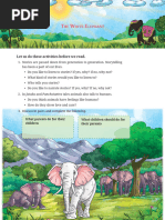 Bridge Programme English Grade 8 | PDF