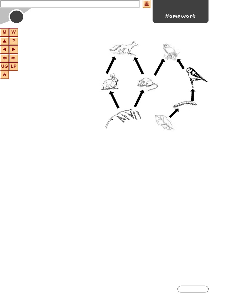 Unit D - Ecological Relationship Ws | PDF | Leaf | Habitat