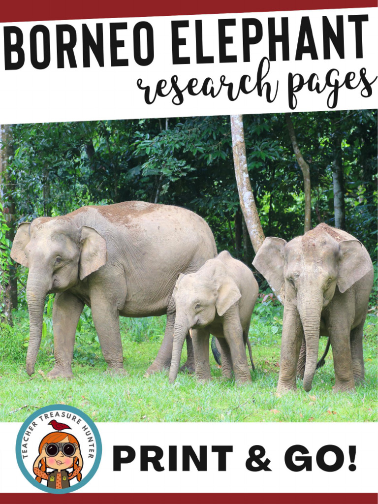 EndangeredanimalBorneoelephantinformationpageforanimalresearchreport 1 ...