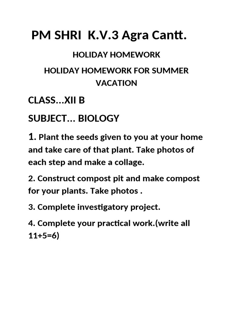 Holiday Homework Summer Vacation 25 | PDF