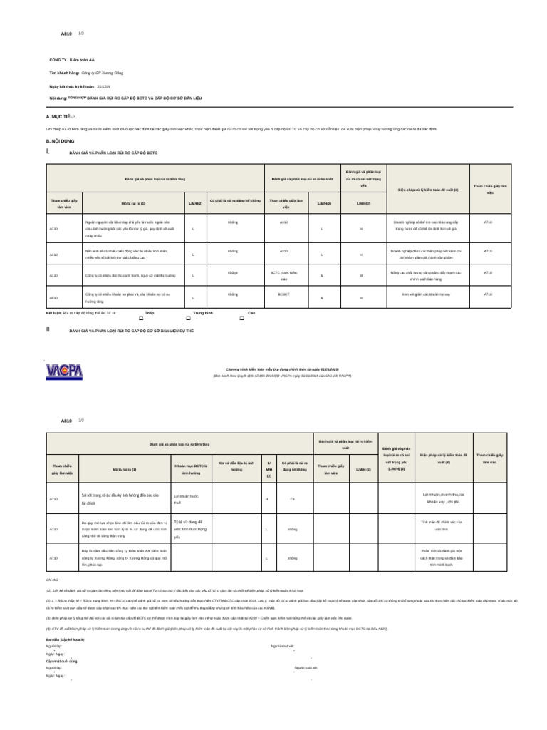 A810 - Đanh Gia Va Phan Loai Rui Ro Cap Do BCTC | PDF