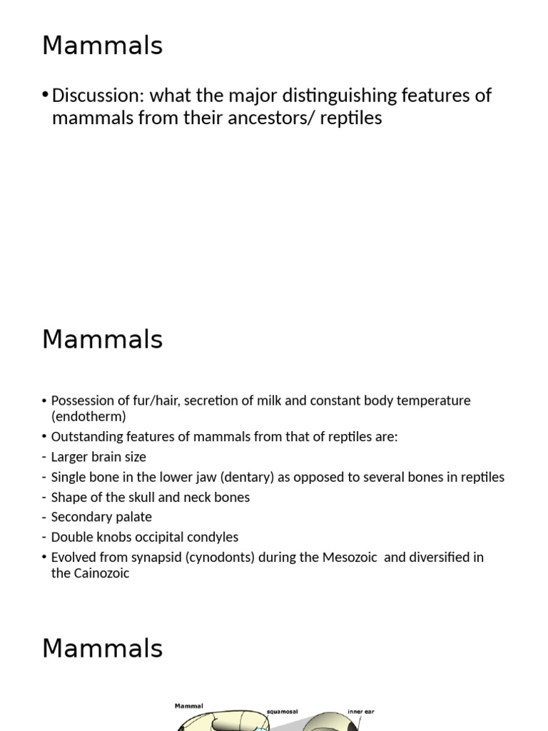 Hgeol126 Tetrapod 5 2024 | PDF | Mammals | Tooth