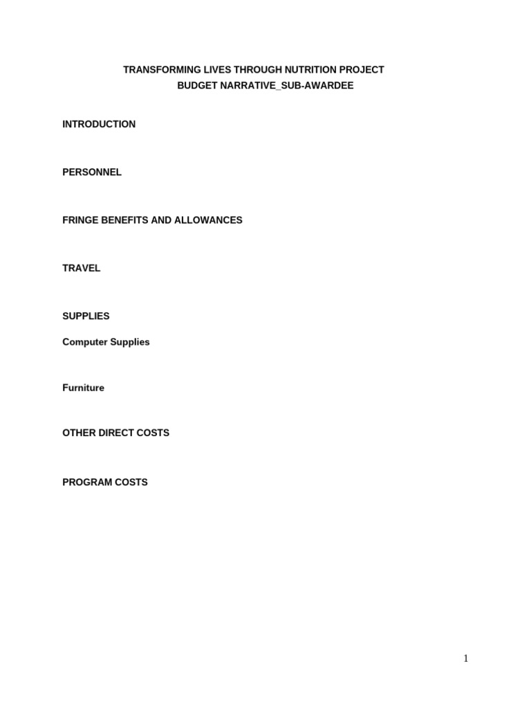 Attachment C Budget Narrative Template | PDF