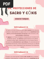 PROCEDIMIENTO PARA LA REALIZACI+ôN DEL EXAMEN DE RX DE SACRO COXIS ...