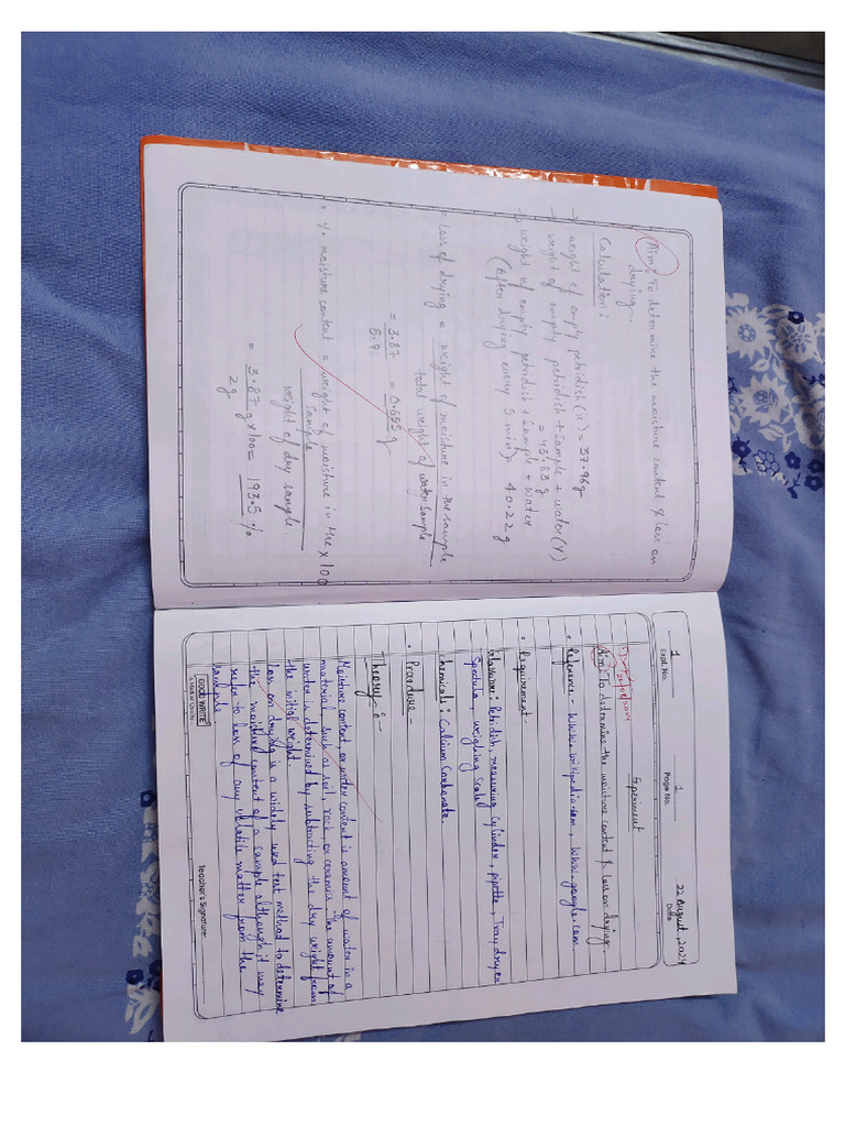 Eng Practical File | PDF