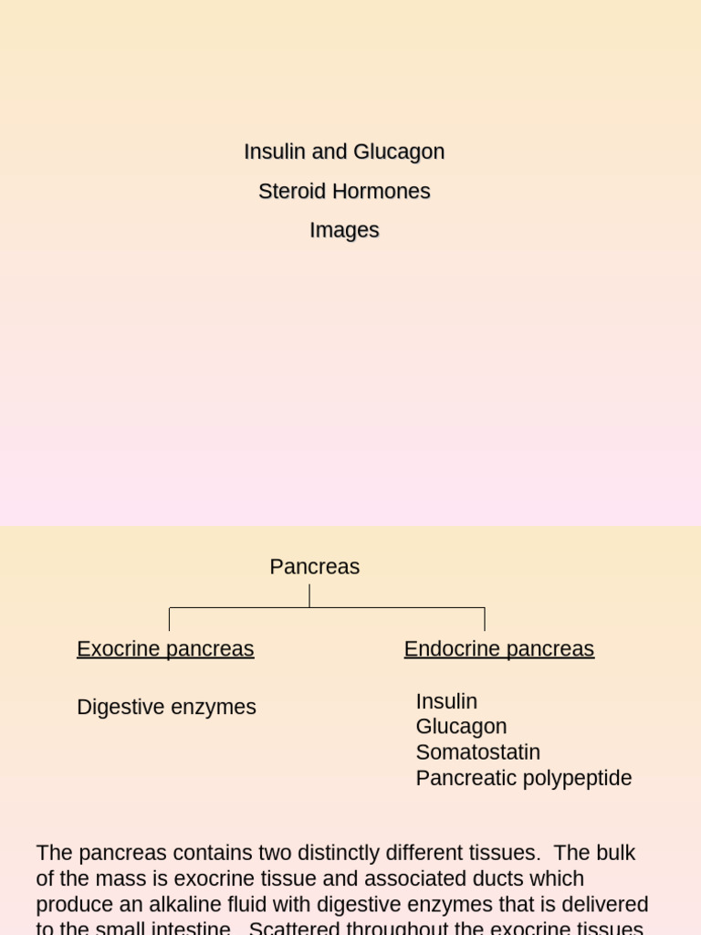 ins_glucagon_steroids_img | PDF | Pancreas | Insulin