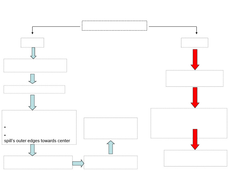 CHEMICAL SPILL FLOW CHART PROCEDURE Accessible Feb 2023 | PDF