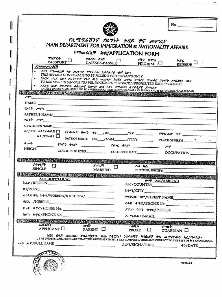 Passport Application | PDF