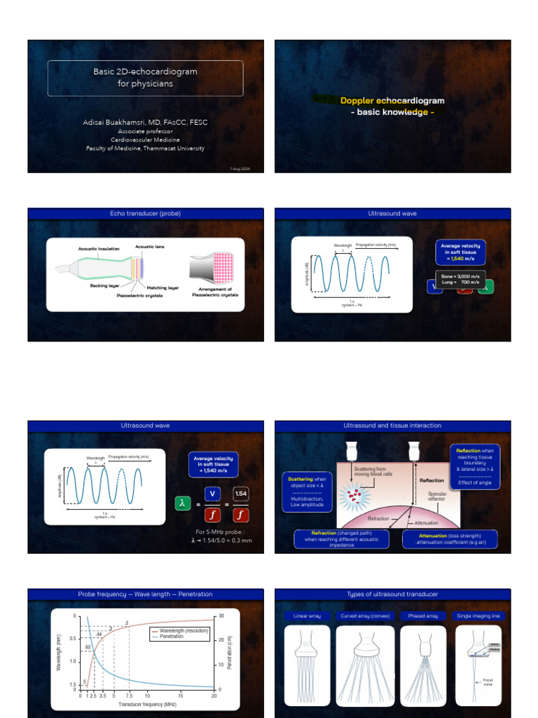 Basic 2D-Echo For Non-Cardiologist - Adisai MD (7-Aug-2024) | PDF ...