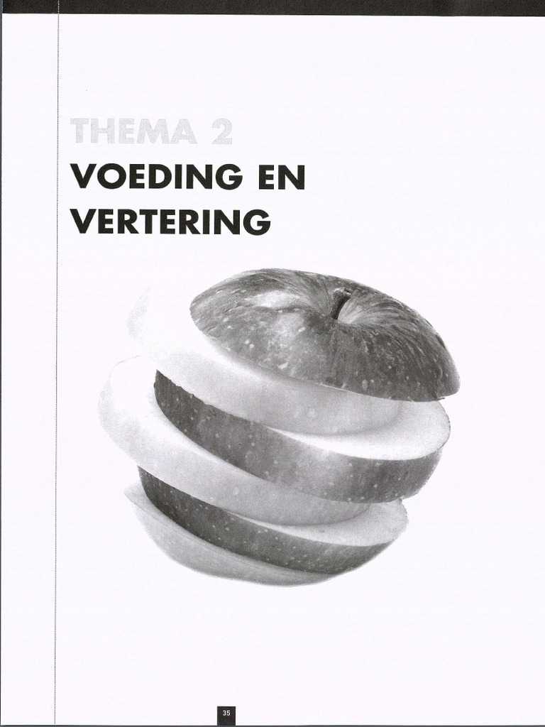 BVJ 2A Werkboek - Thema 2 Voeding en Vertering | PDF