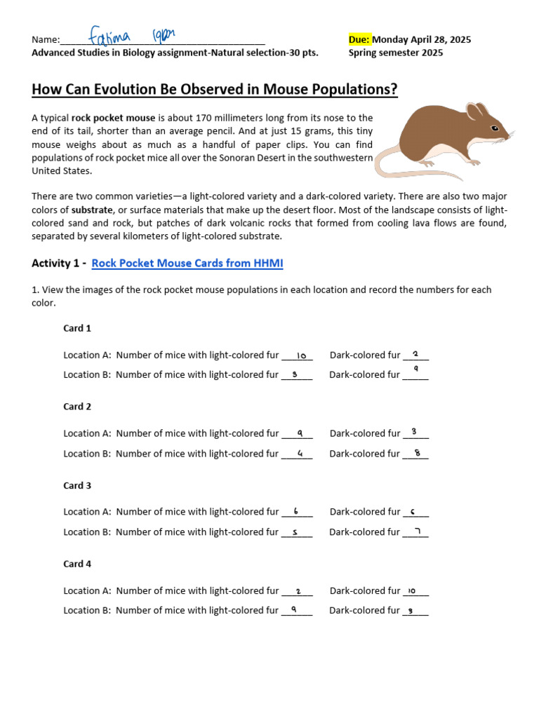 Rock Pocket Mouse Evolution Study | PDF | Natural Selection | Reproduction