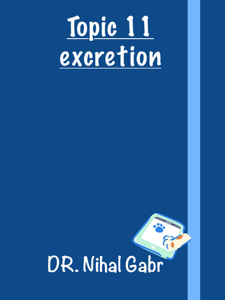 Excretion in Humans(19 Pages)(Started in 1st April) | PDF | Kidney ...