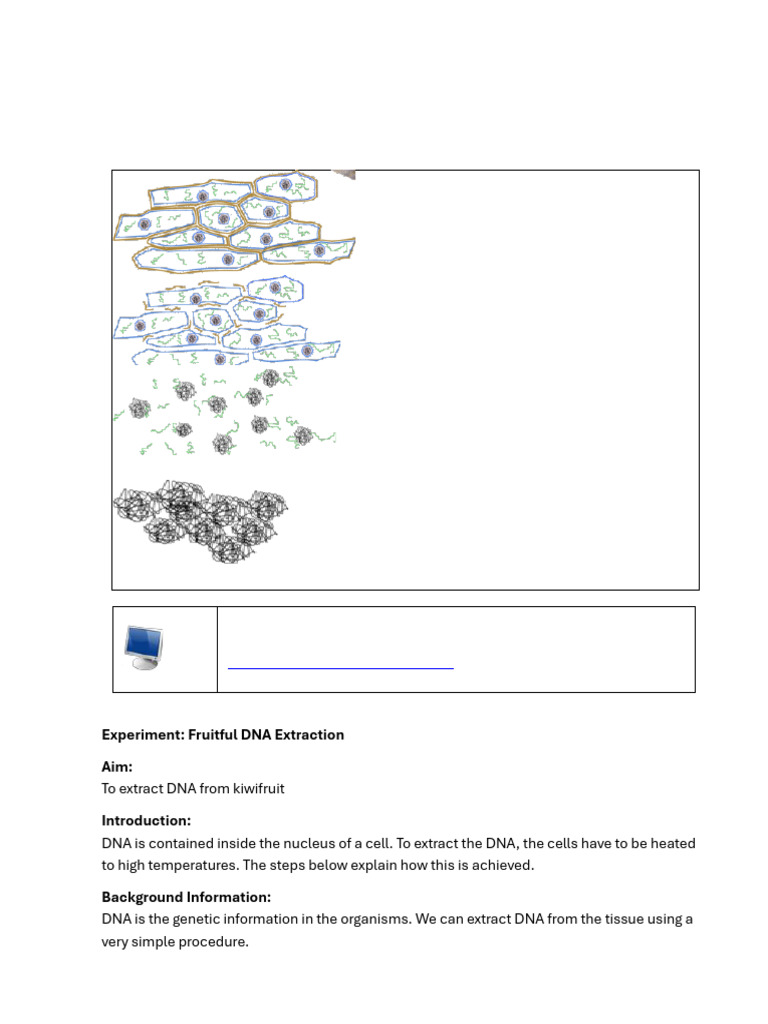 DNA Extraction Experiment | PDF | Water | Cell (Biology)