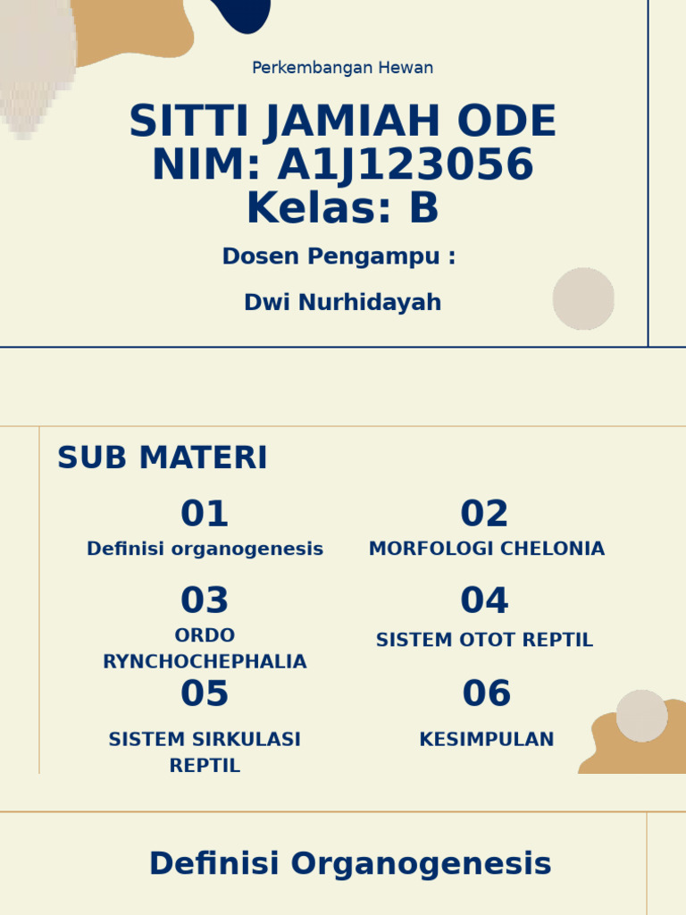 Proses Organogenesis pada Reptil | PDF