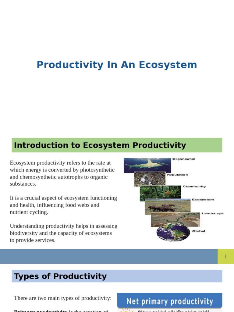 Understanding Ecosystem Productivity | PDF | Primary Production | Ecosystem