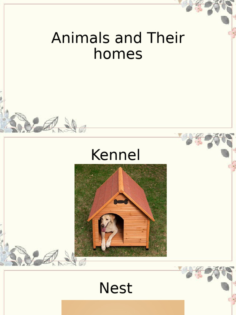 Animal Homes and Habitats | PDF