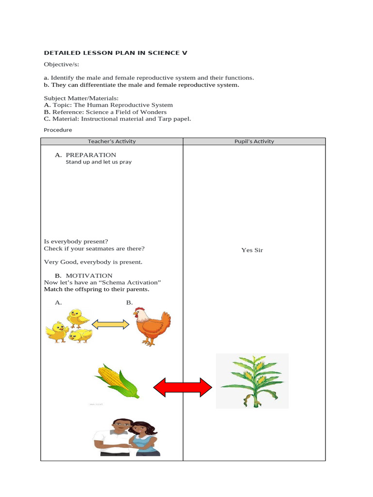 Detailed Lesson Plan in Science V 1 | PDF | Human Reproduction ...