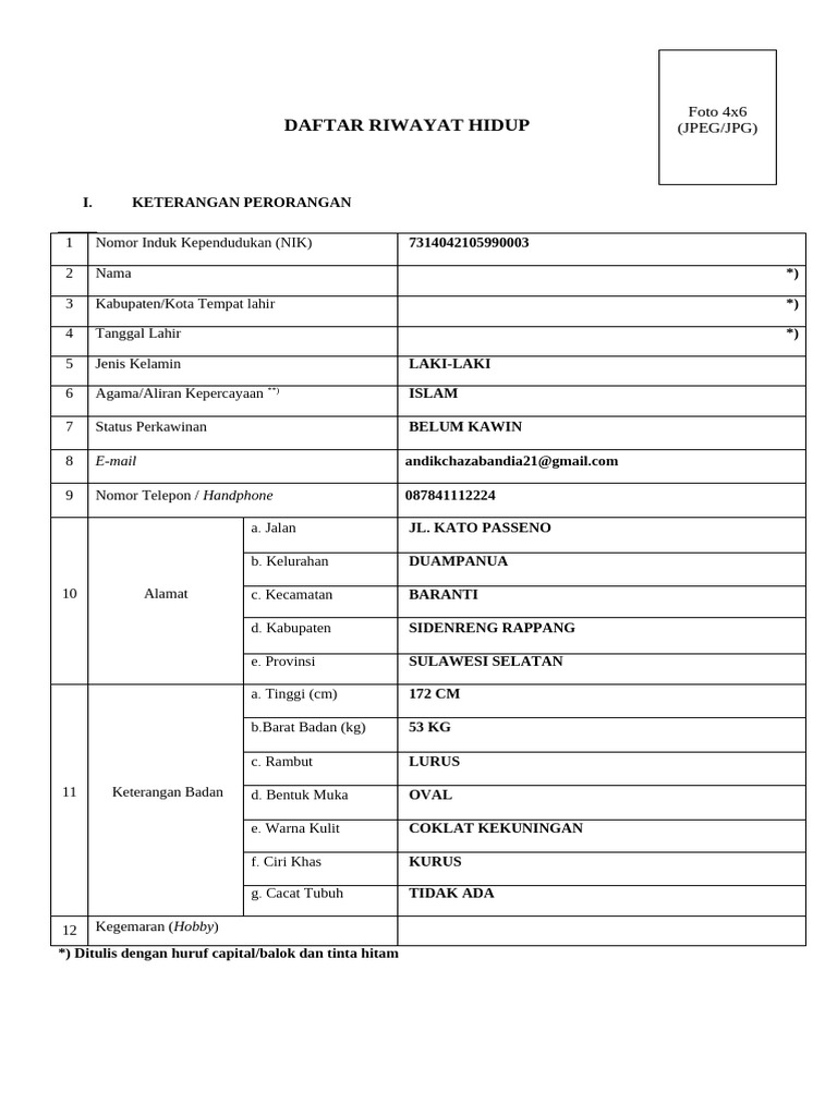 Daftar Riwayat Hidup - BKN PPPK | PDF