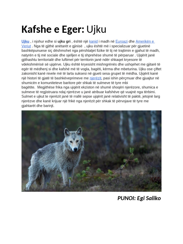 Kafshe e Eger | PDF