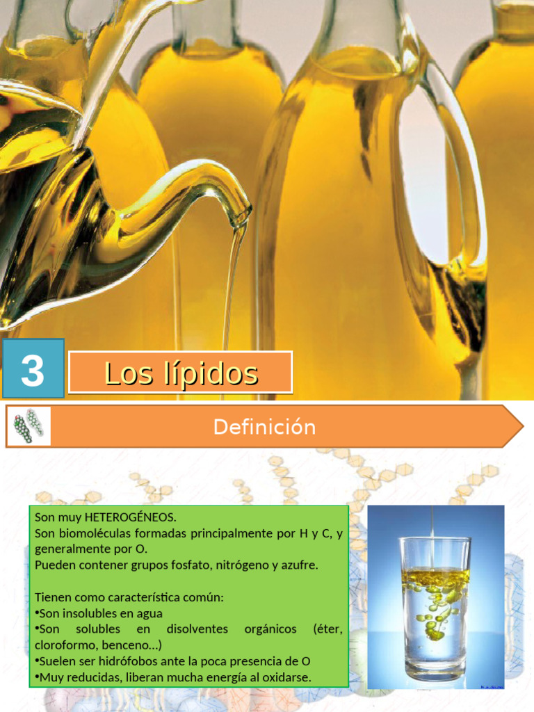 Clasificación y funciones de los lípidos | PDF | Lípido | Ácido graso