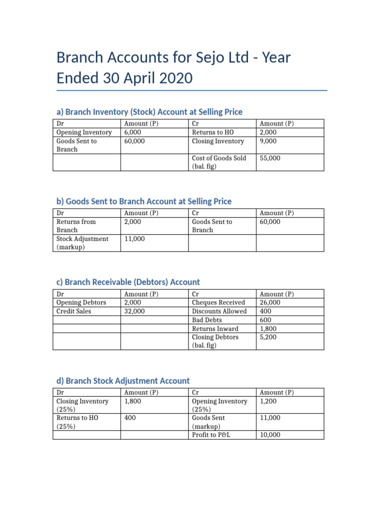 Sejo Ltd Branch Accounts Overview 2020 | PDF